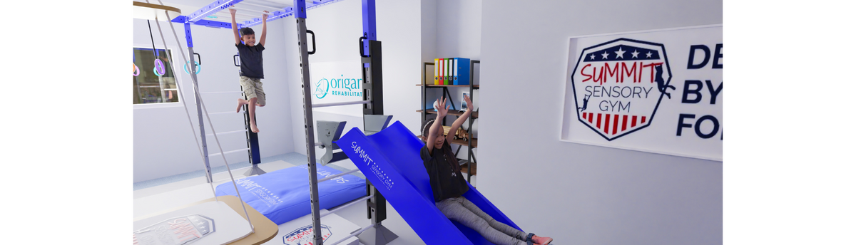 All-In-One Sensory Therapy Gym - SummitAdventure Series - Summit ...