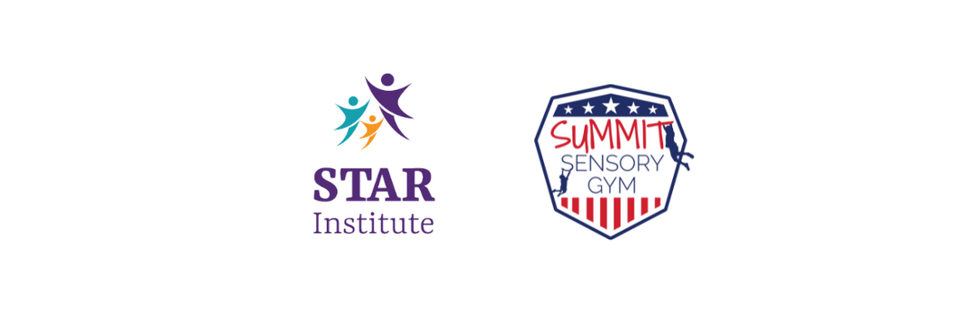 STAR Institute for Sensory Processing Disorder Partner - Summit Sensory Gym